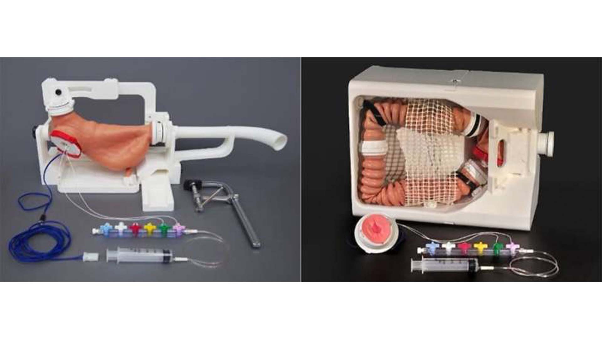 New simulator mimics real tissue for safer endoscopic cancer surgery ...