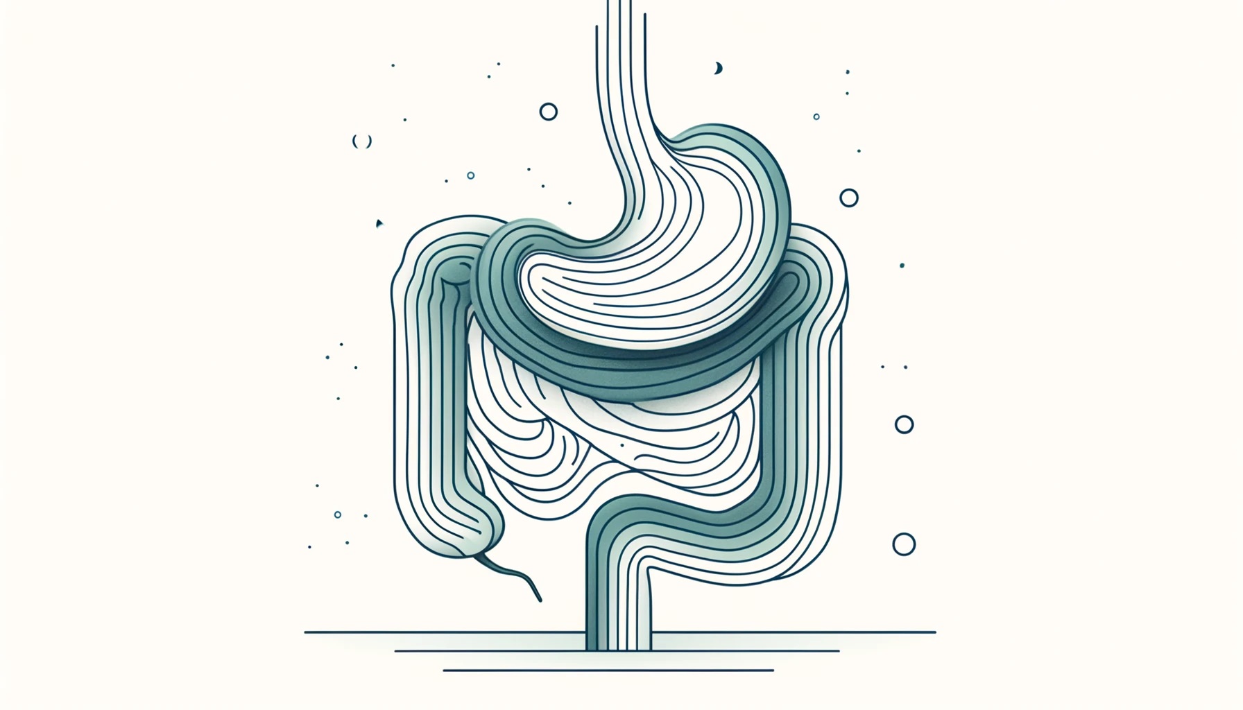 Artificial Intelligence Model for Automated Identification of Bowel ...